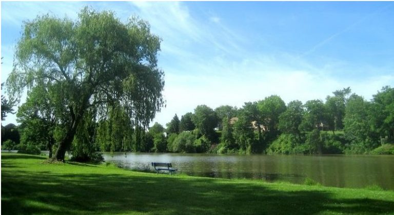 Save Saline Mill Pond – SAVE SALINE MILL POND